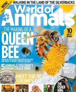 World of Animals UK Magazine - Get your Digital Subscription