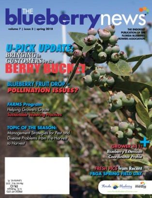 The Blueberry News Magazine - Get your Digital Subscription