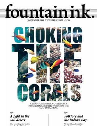 Fountain Ink Magazine - Get your Digital Subscription
